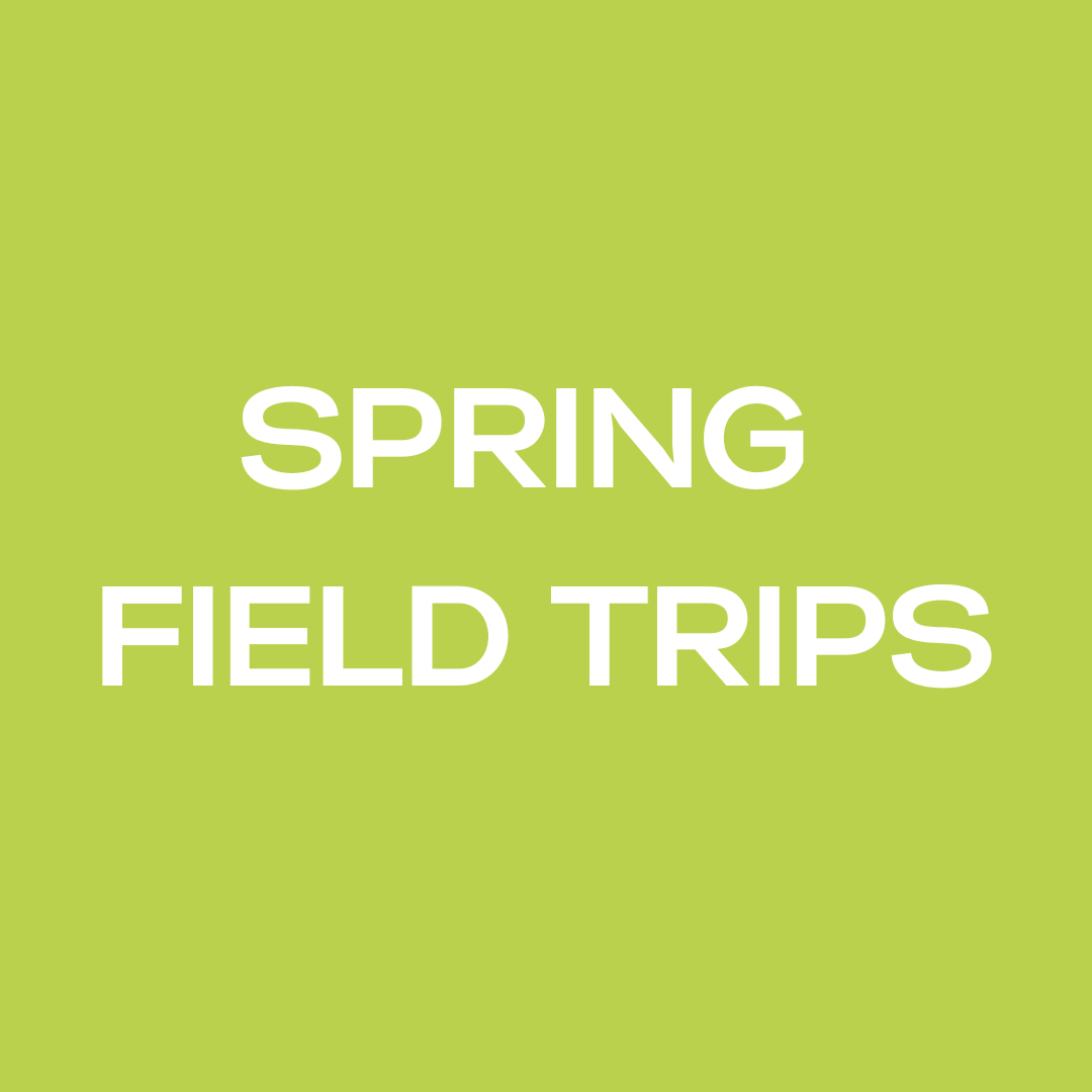 Learn- Spring Field Trip Box – Carnegie Arts Center